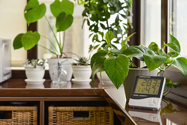 How Plants Regulate Their Own Temperature (Thermoregulation) – Leaves ...