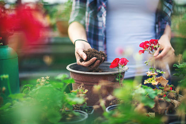 How to Tell If Your Potting Mix Has Gone Bad (7 Easy Signs) – Leaves ...