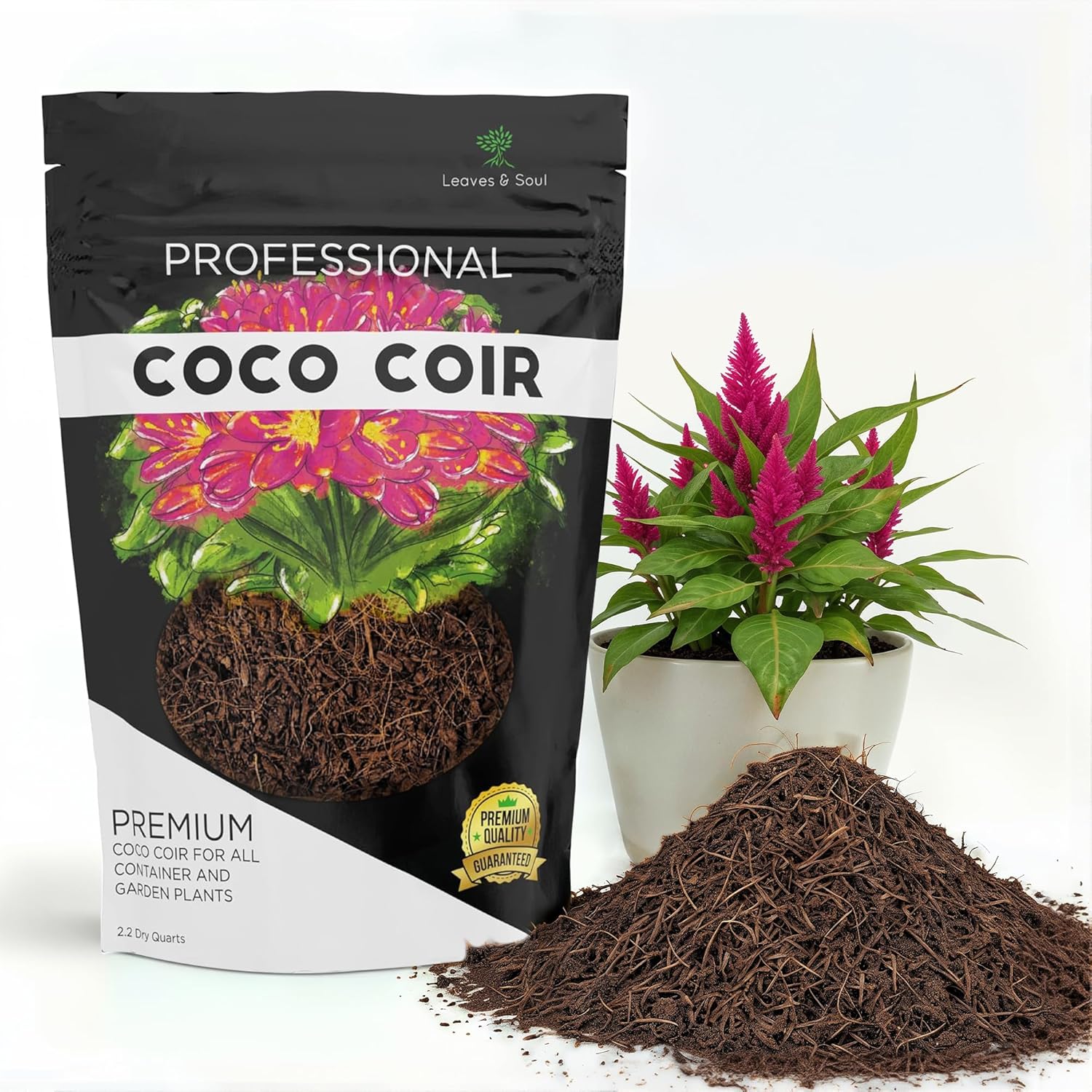 Professional Coco Coir – Leaves and Soul